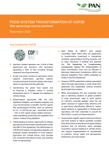 PAN International Positionspapier: Food System Transformation at COP28 ...
